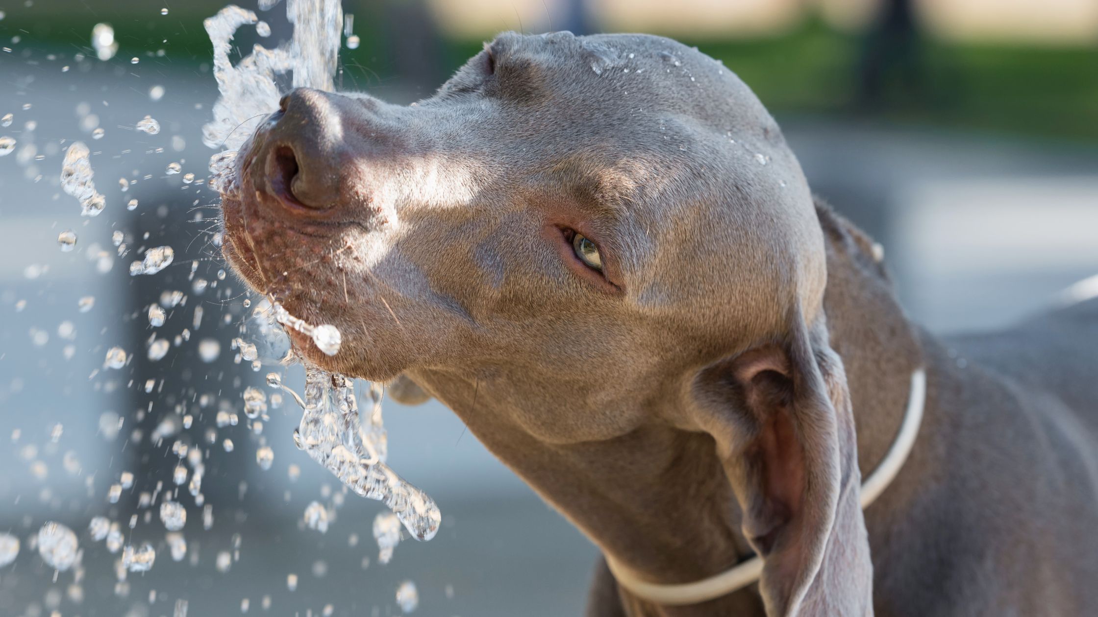 - Stay Safe and Stay Cool: Avoiding Heat Stroke On The Road - Fleet ...